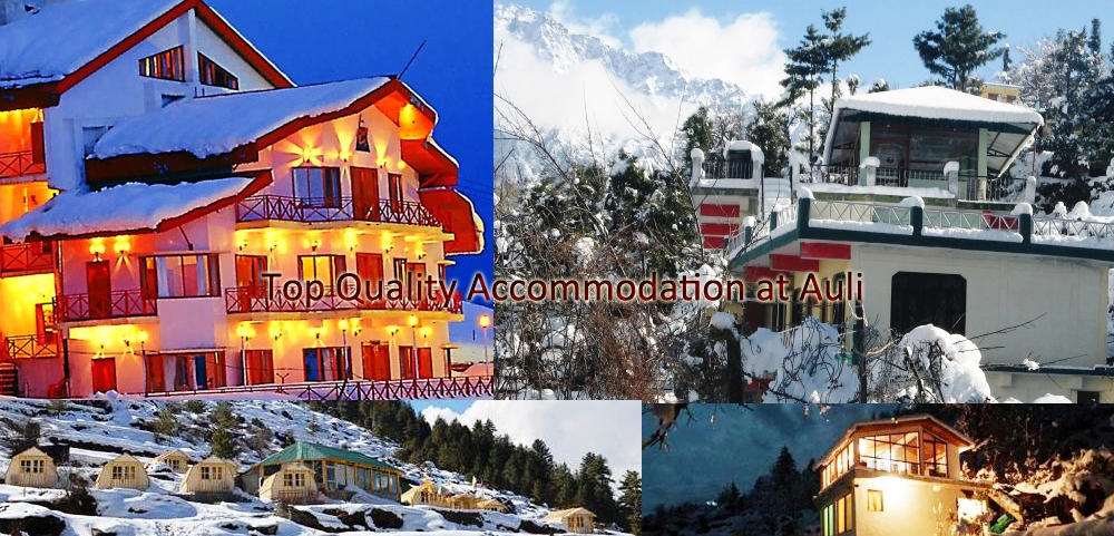 Auli Hotels and Resorts - Best Budget, Deluxe, Luxury Hotels in Auli ...